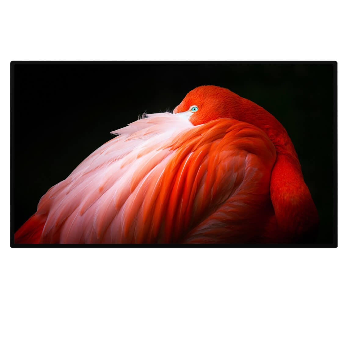 Apple Pro Display XDR Nano-texture Glass - Goka